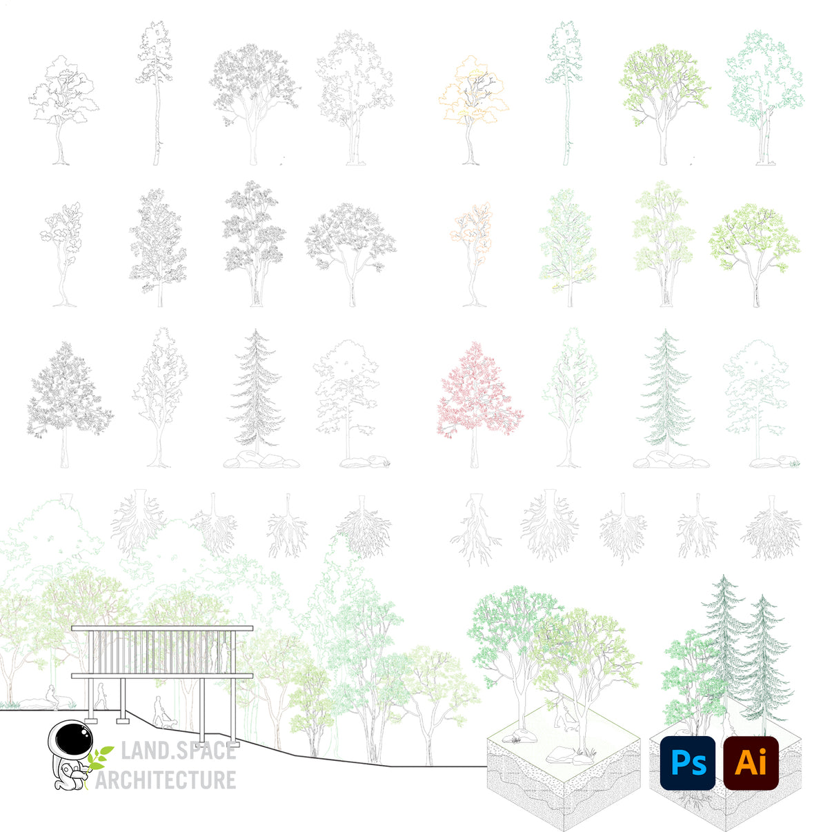 Trees Elevation Vectors and Brushes – Landscape Architecture