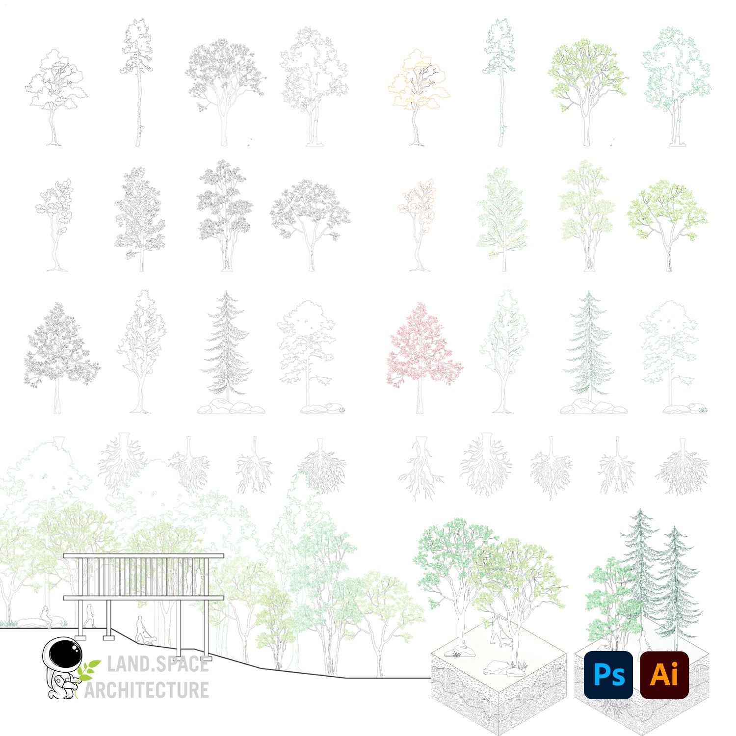 Trees Elevation Vectors and Brushes – Landscape Architecture