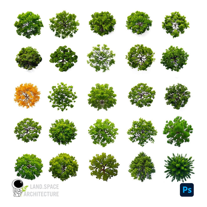 Realistic Trees Top View for Landscape Plan – Landscape Architecture