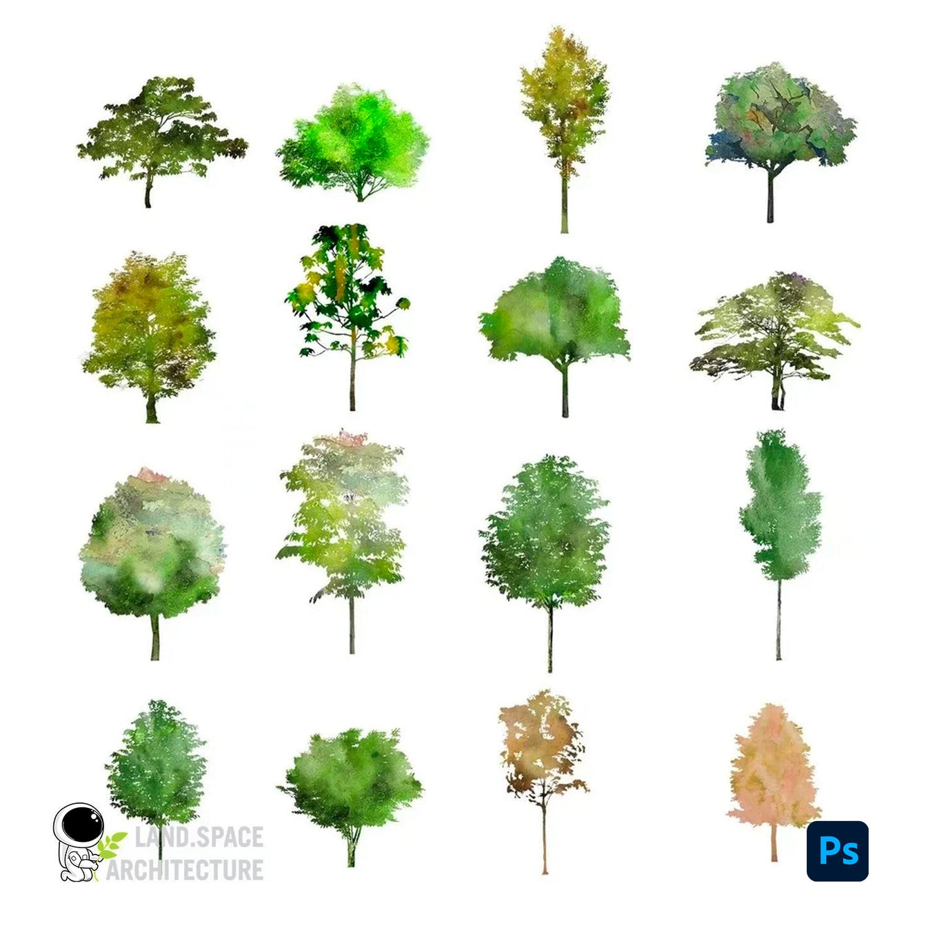 FREE Watercolor trees PNG – LandSpace Architecture