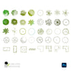 Photoshop tree and shrub brushes set (.abr) – LandSpace Architecture