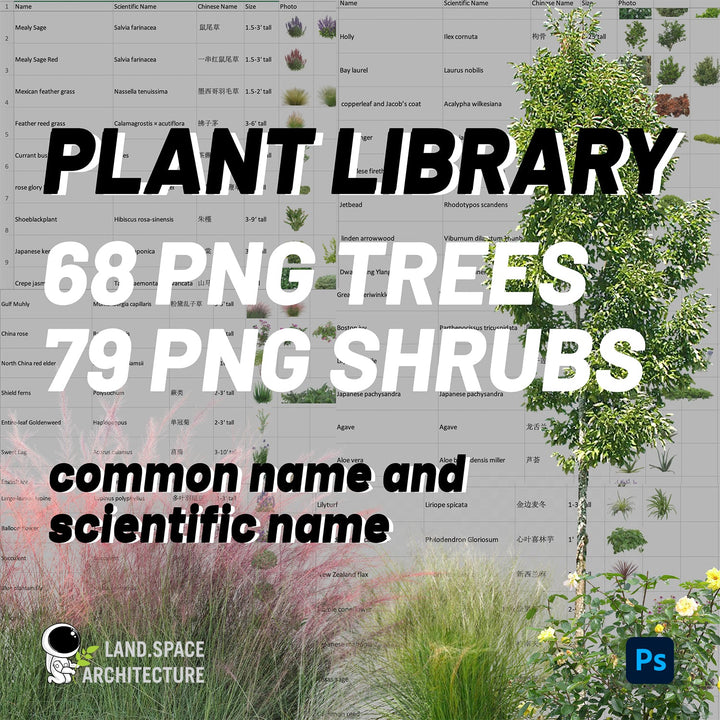 Photoshop – Landscape Architecture