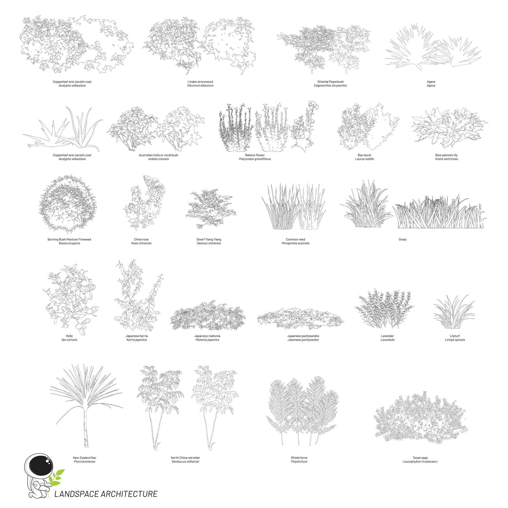 Vector Landscape Illustration Bundle, Tree Elevation Vectors ...