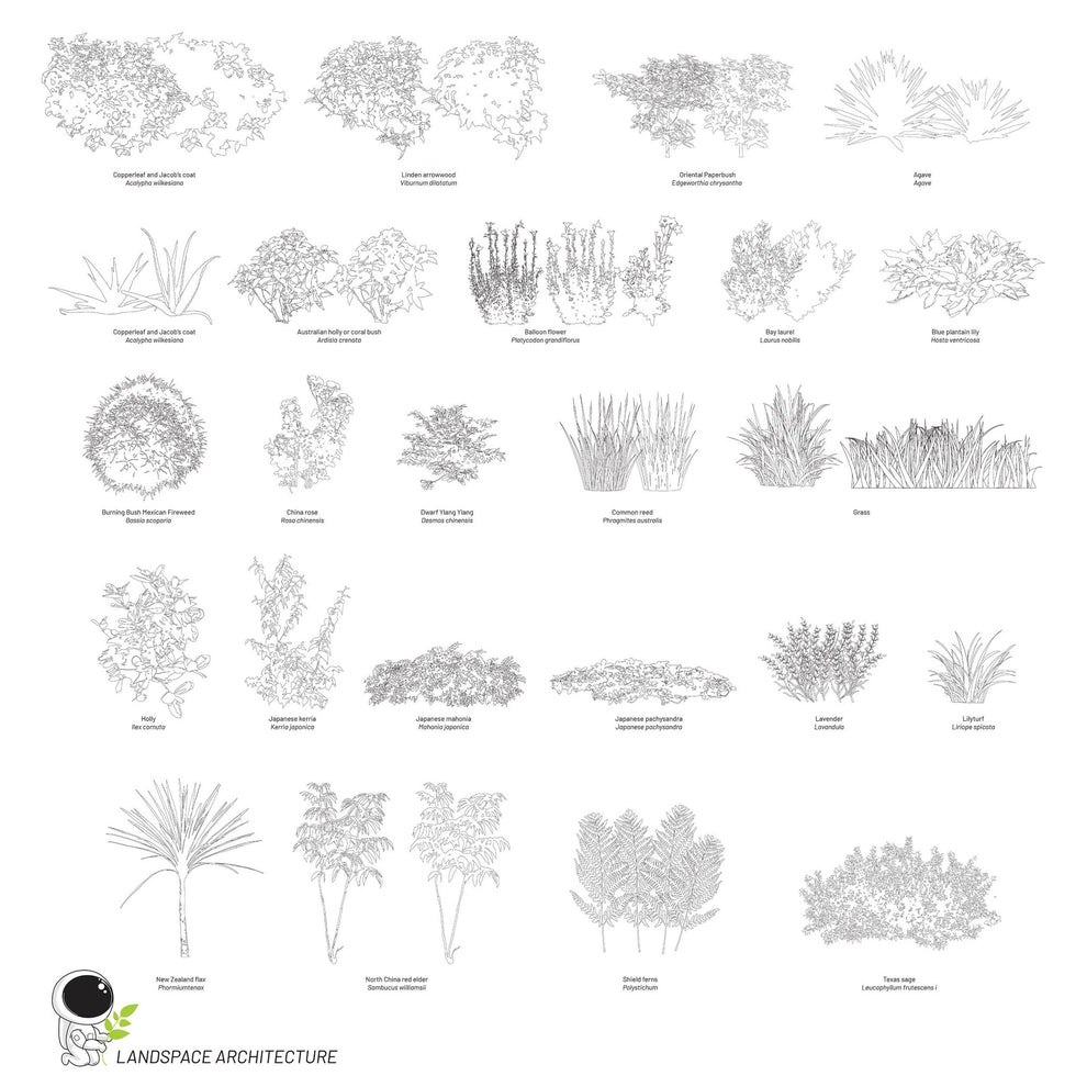 Vector Landscape Illustration Bundle, Tree Elevation Vectors ...