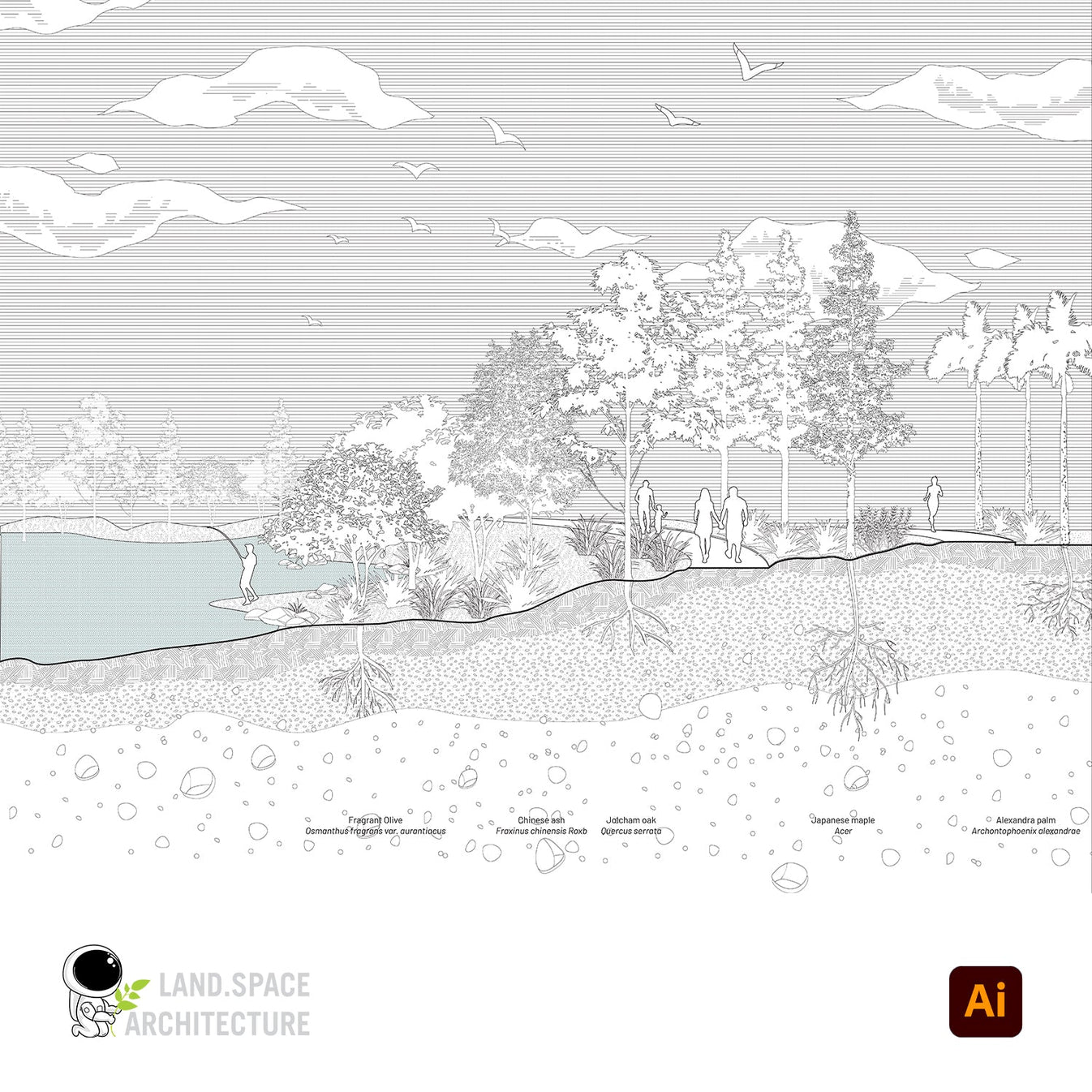 Vector Landscape Illustration Bundle, Tree Elevation Vectors ...