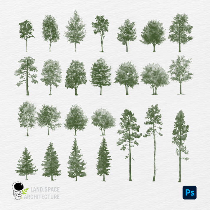 Watercolor Photoshop Tree Brushes – Landscape Architecture