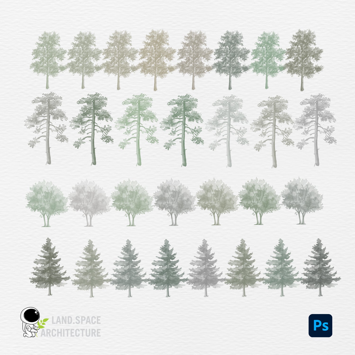 Watercolor Photoshop Tree Brushes – LandSpace Architecture
