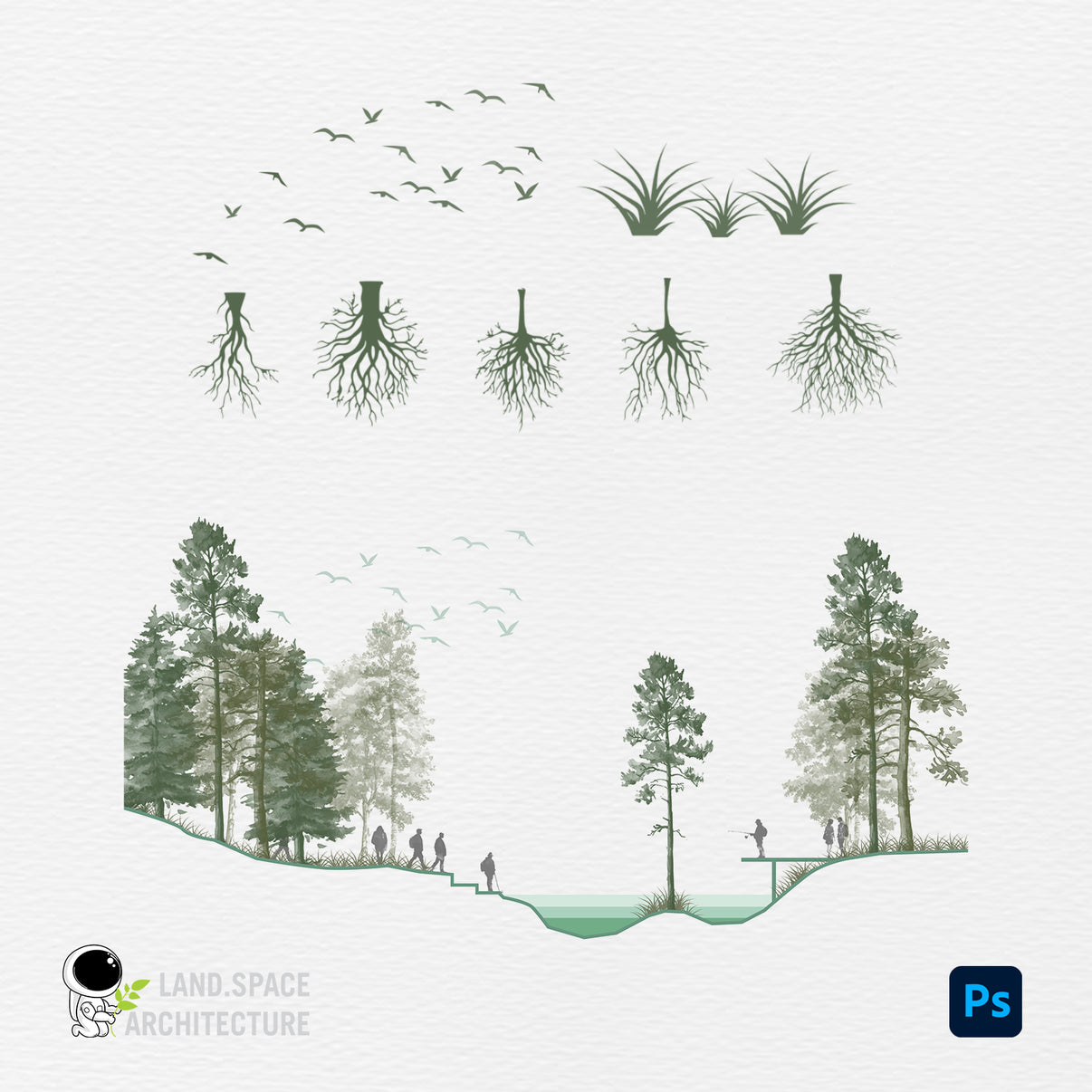Watercolor Photoshop Tree Brushes – Landscape Architecture