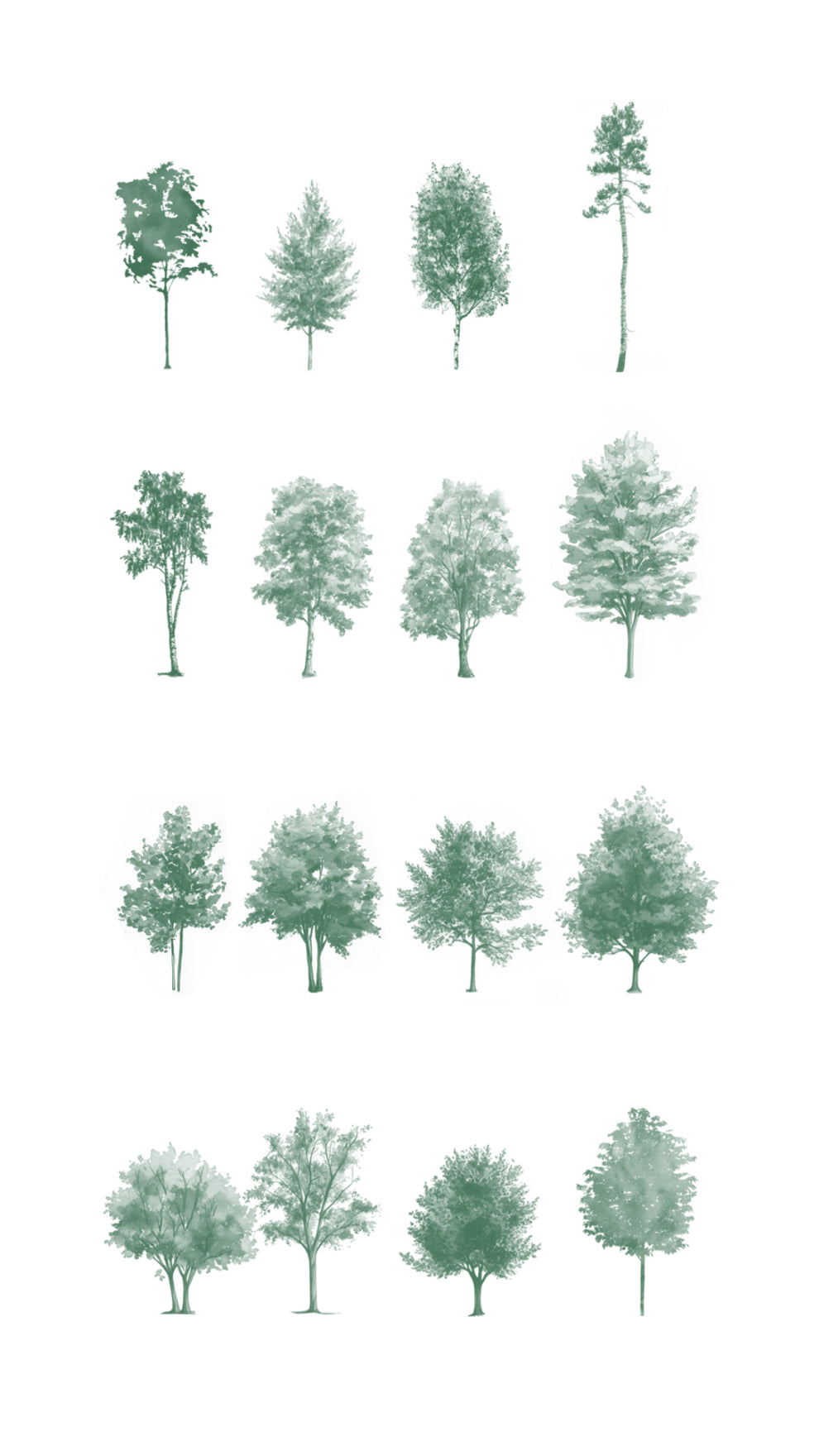 Watercolor Procreate Tree Brushes – Landscape Architecture
