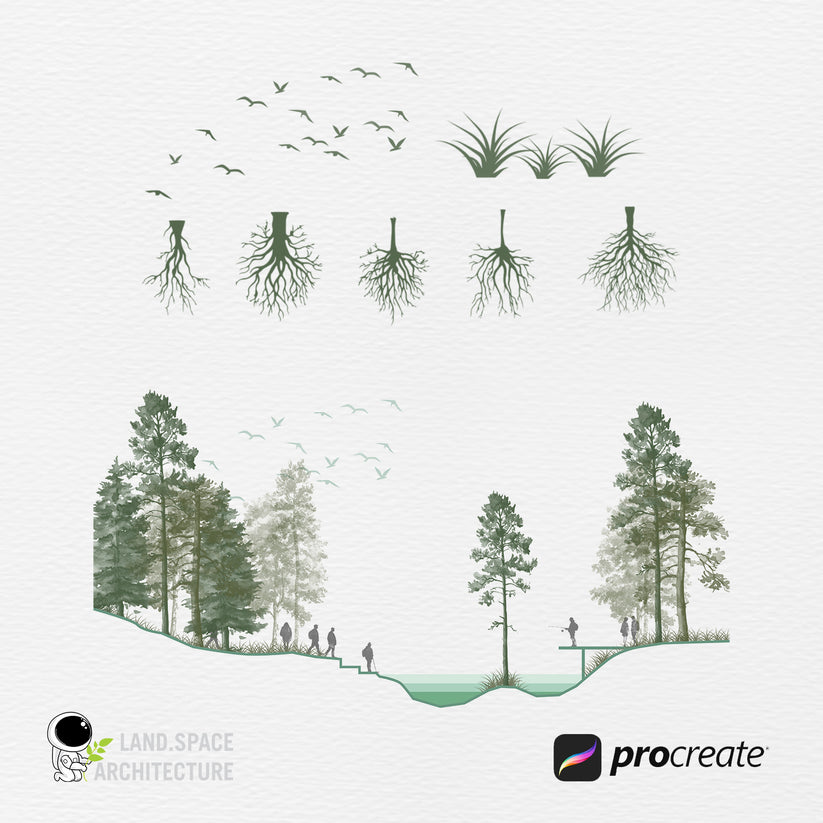 Watercolor Procreate Tree Brushes – Landscape Architecture
